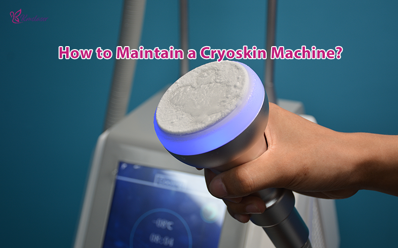 How to Maintain a Cryoskin Machine?